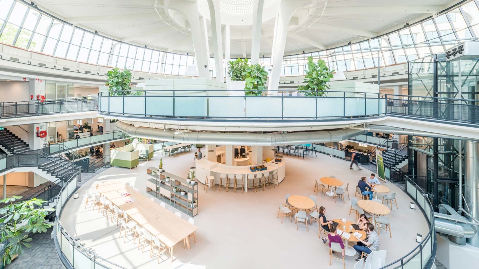 Insights About Climate Positive Flooring - Duracryl | Serving The Globe