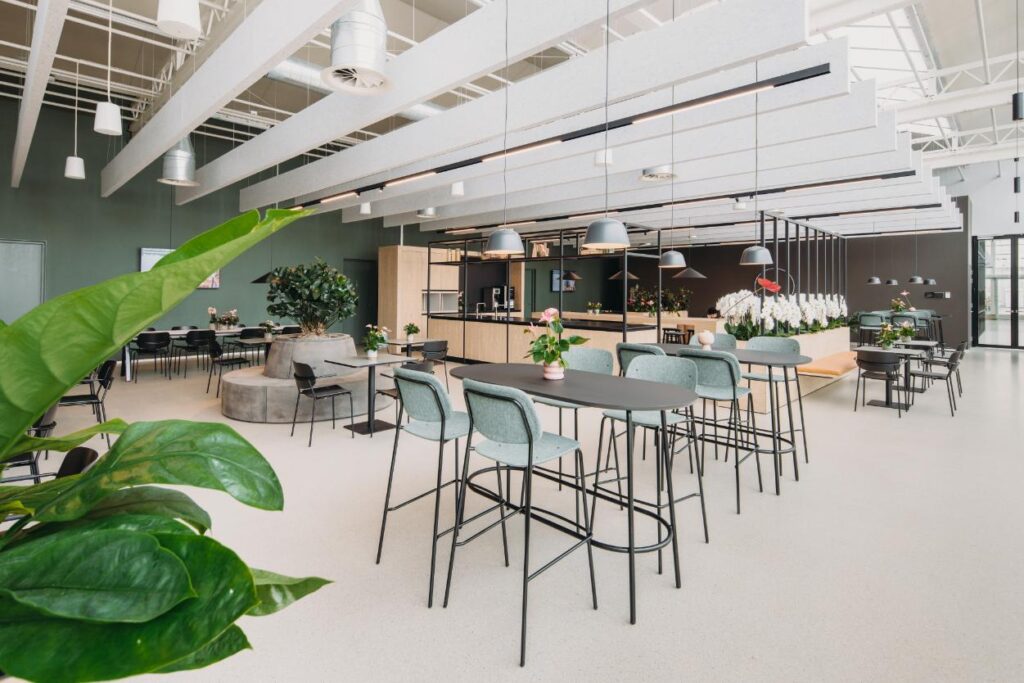 Insights About Climate Positive Flooring - Duracryl | Serving The Globe